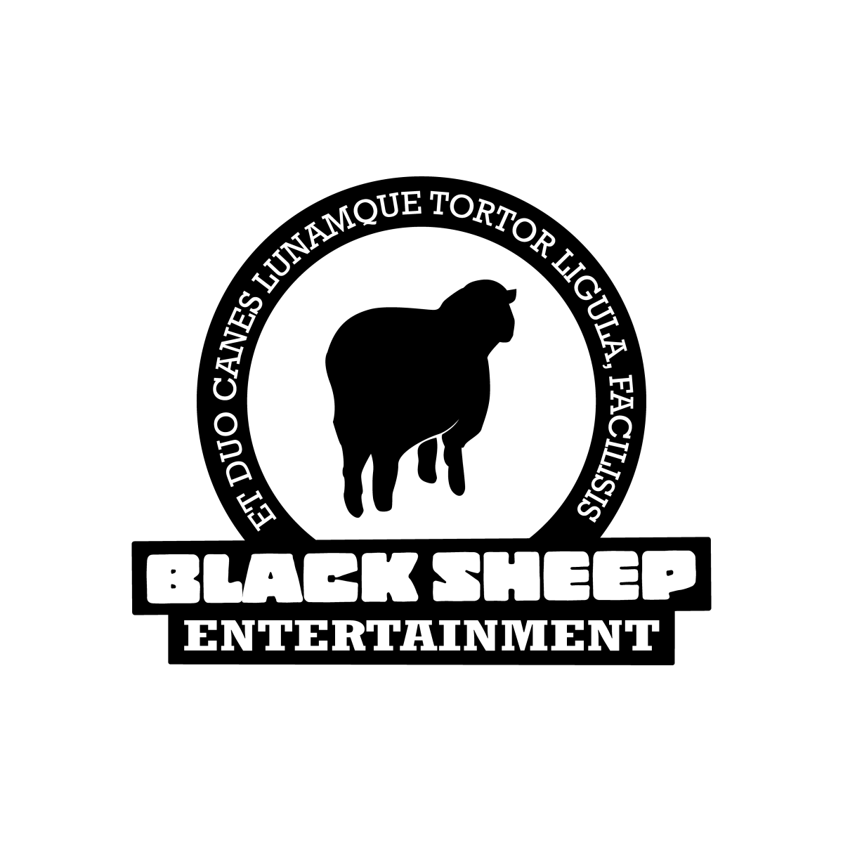 Black Sheep Entertainment – We bring the fun to your business